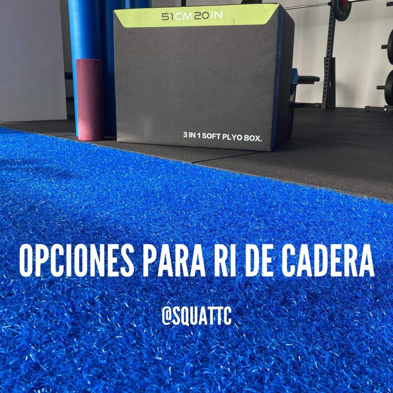 Isometricos (parte I) Hold-Push - Squat Training Center
